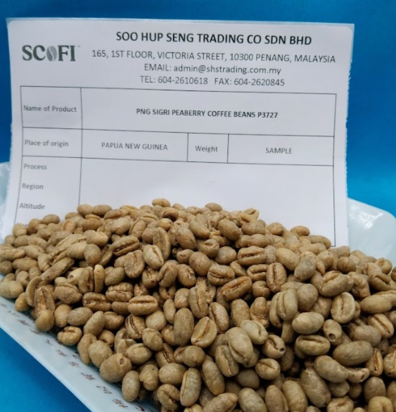 Top Unroasted Raw Arabica Coffee Beans Supplier in Malaysia